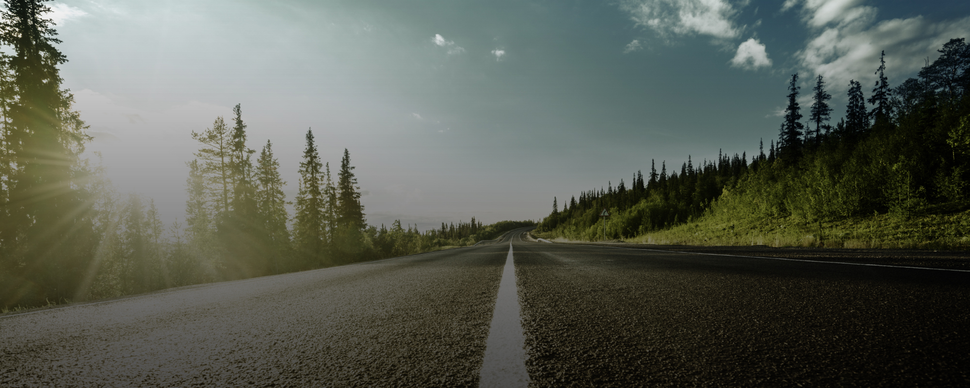 Explore Our Portfolio Polymath Creative Agency